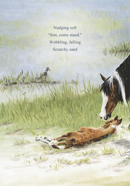 Wild Colt – Military