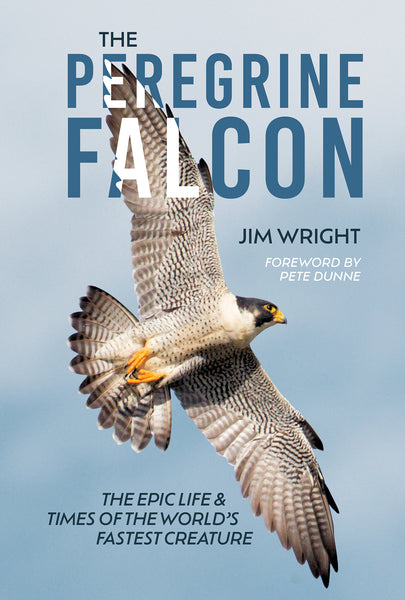 The Peregrine Falcon – Military