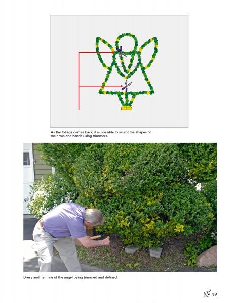 Basic Topiary – Military