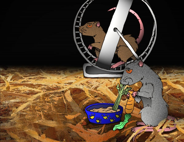 The Rat Tank – Military