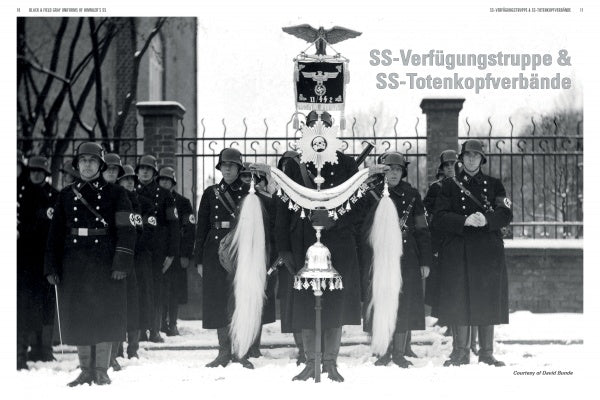 Black and Field Gray Uniforms of Himmler's SS: Allgemeine-SS SS Verfüg ...