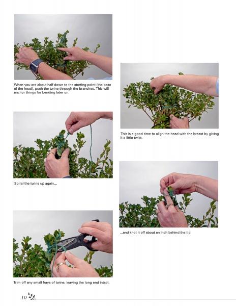 Basic Topiary – Military