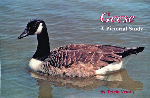 Geese – Military